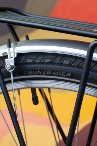 1999 Georgena Terry Flora Commuter Bike, Blue with colorful flowers, 4 ...