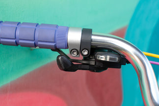 1999 Georgena Terry Flora Commuter Bike, Blue with colorful flowers, 4 ...